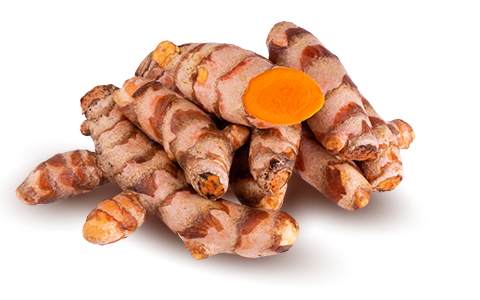 Organska kurkuma u prahu (5-6% kurkumina) - Just Superior